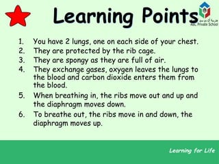 breathing and the Respiratory system.pptx