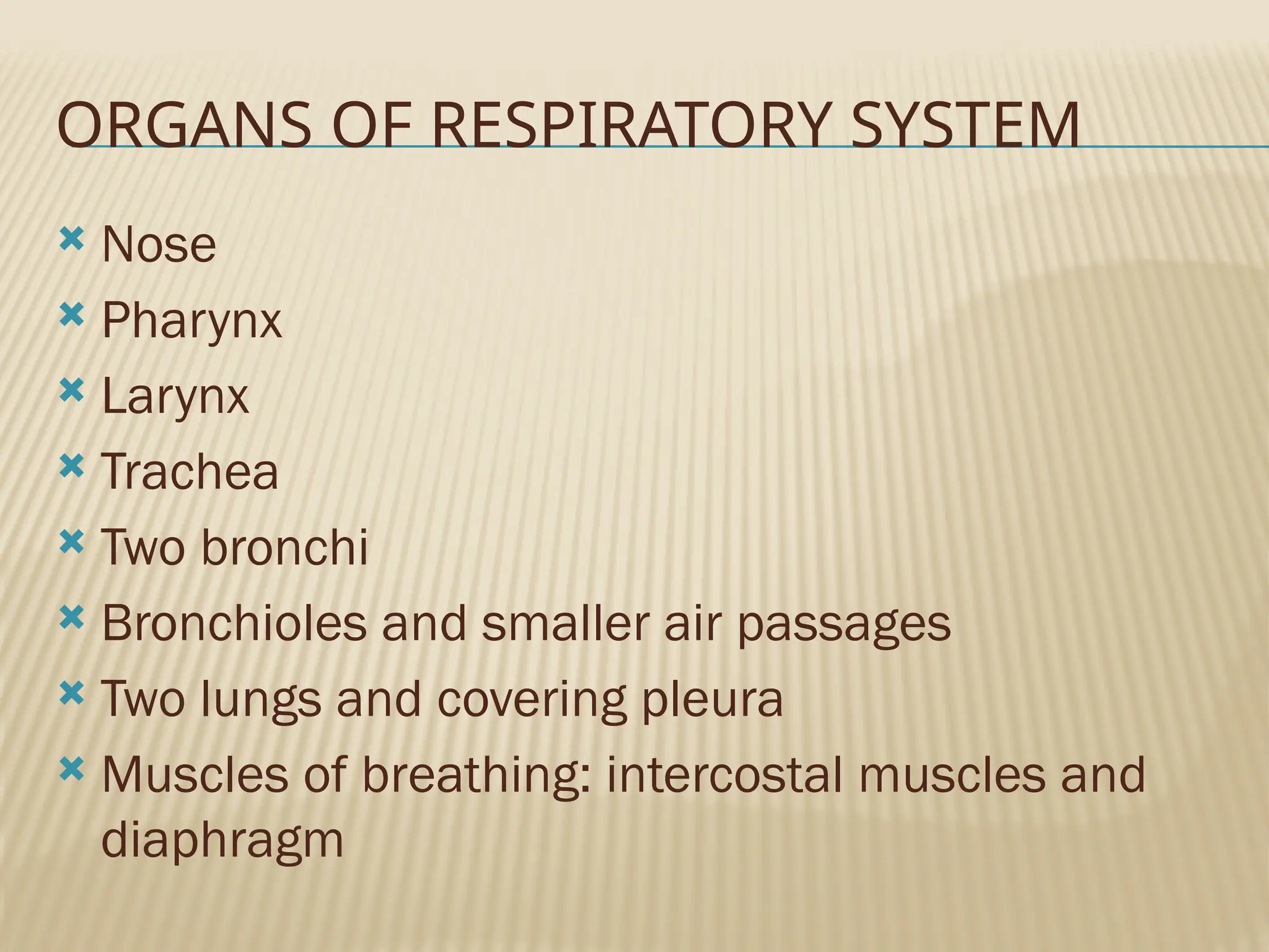 Respiratory system for medical students. | PPTX