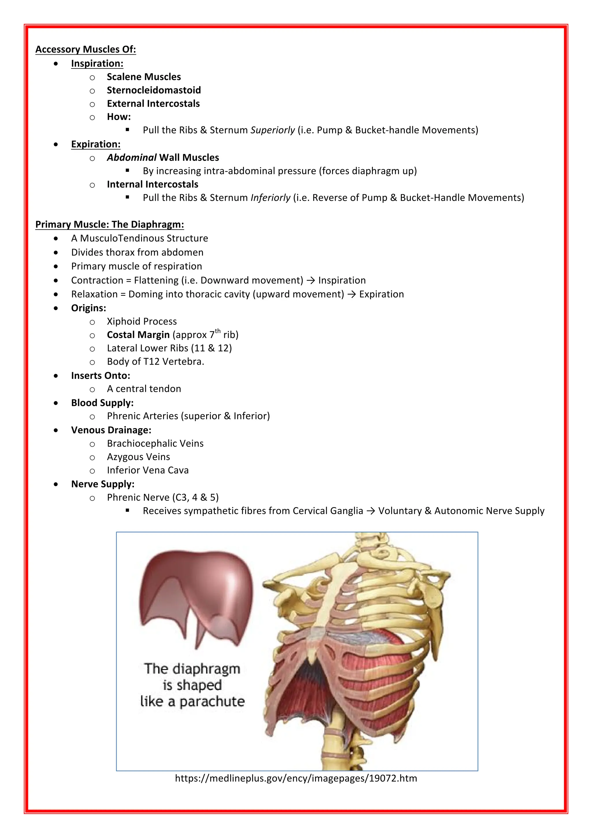 RESPIRATORY SYSTEM.pdf.... you will love this | PDF