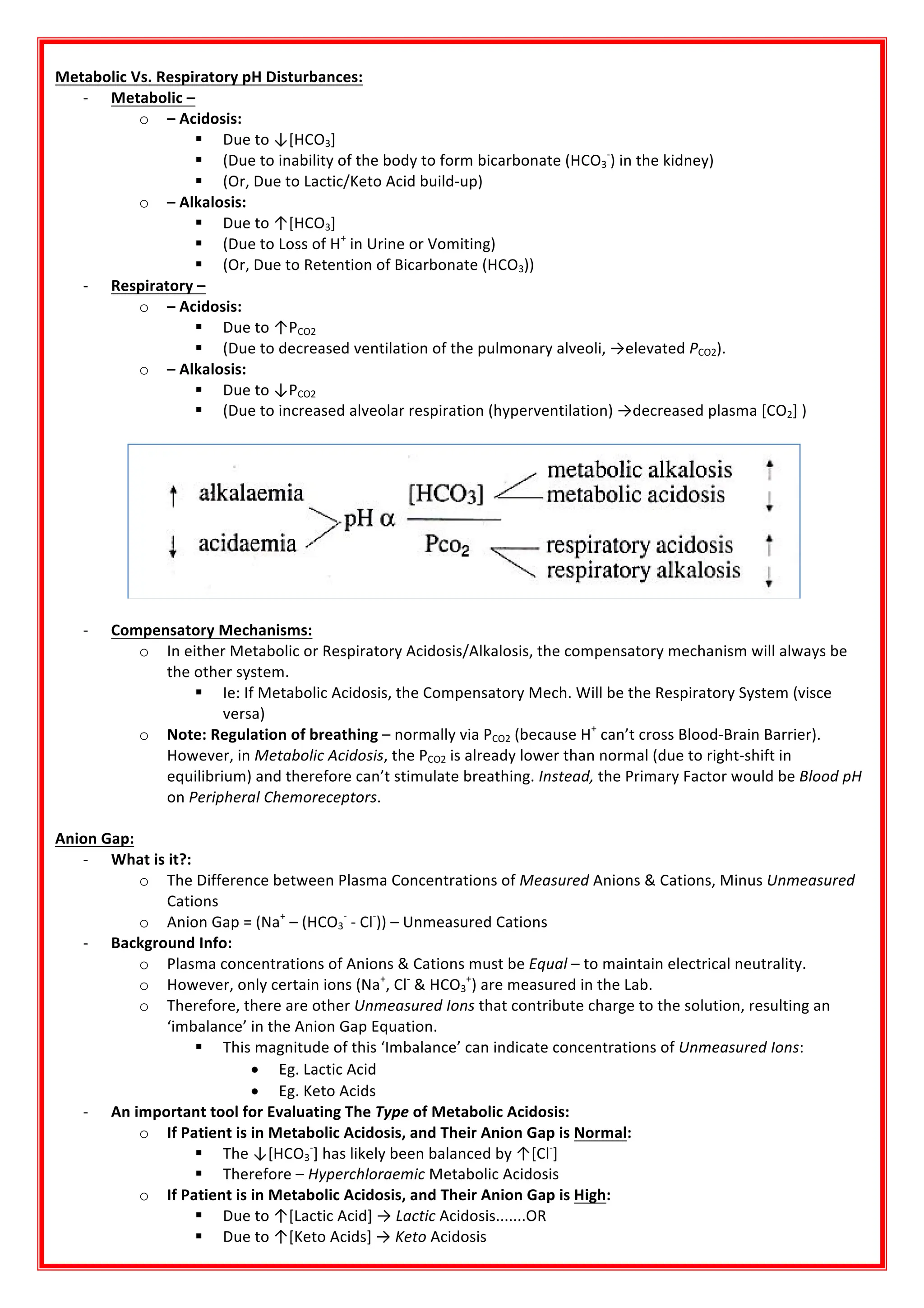 RESPIRATORY SYSTEM.pdf.... you will love this | PDF