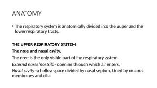 RESPIRATORY SYSTEM -ANATOMY AND PHYSIOLOGY.pptx
