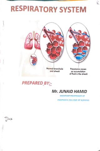 Human Respiratory System- anatomy & physiology ppt | PDF
