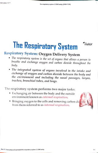 Human Respiratory System- anatomy & physiology ppt | PDF