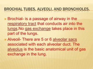 Respiratory System.Chapter # 7 | PPTX