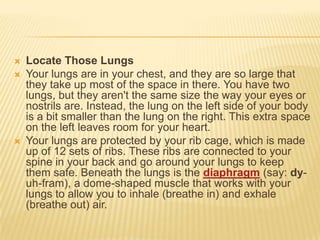 Respiratory System.Chapter # 7 | PPTX