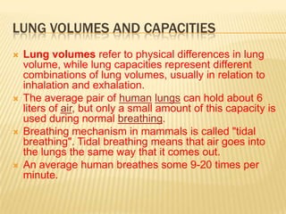 Respiratory System.Chapter # 7 | PPTX