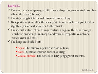 RESPIRATORY SYSTEM-converted.pdf