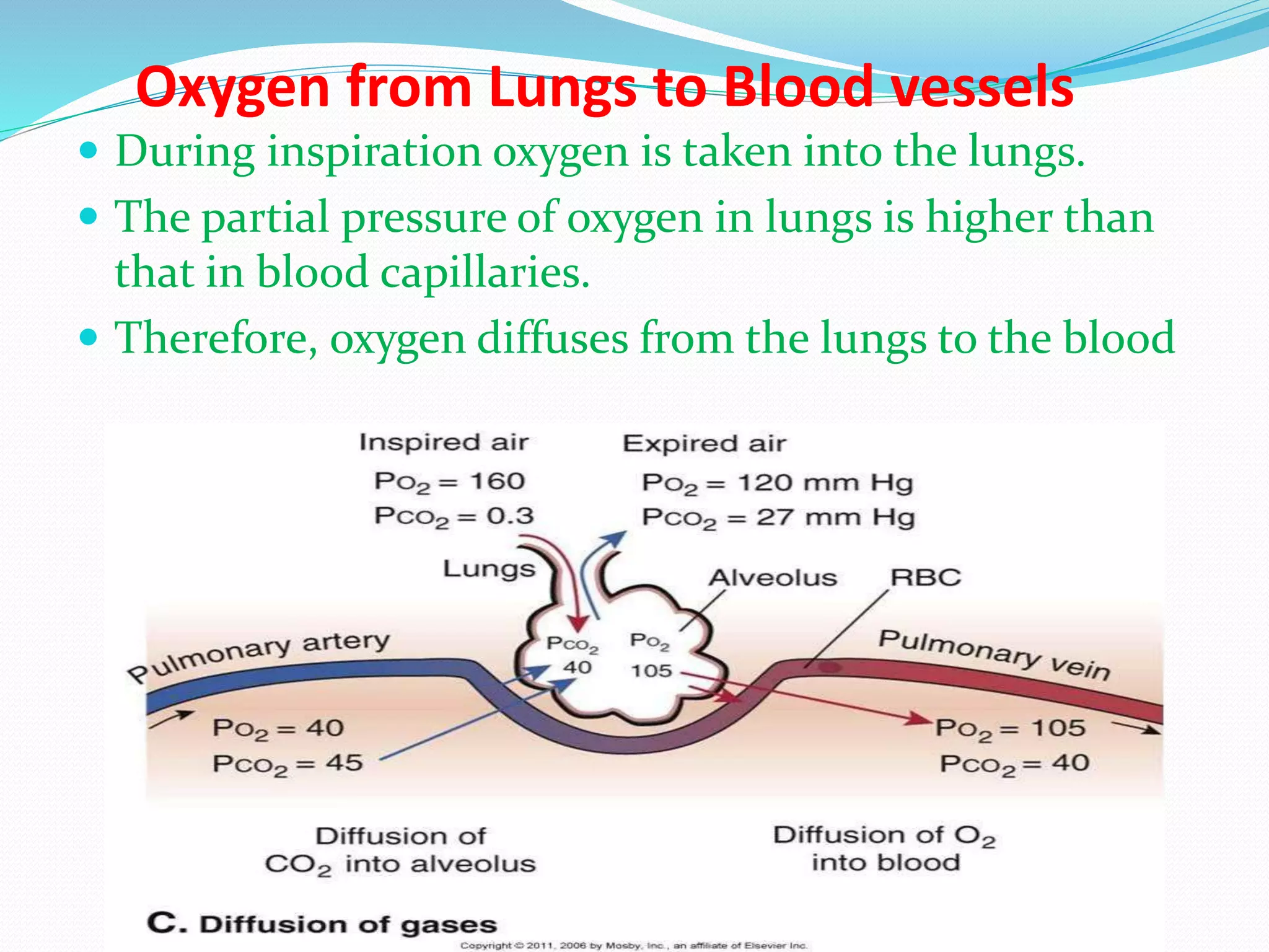 Physiology of respiration | PPTX