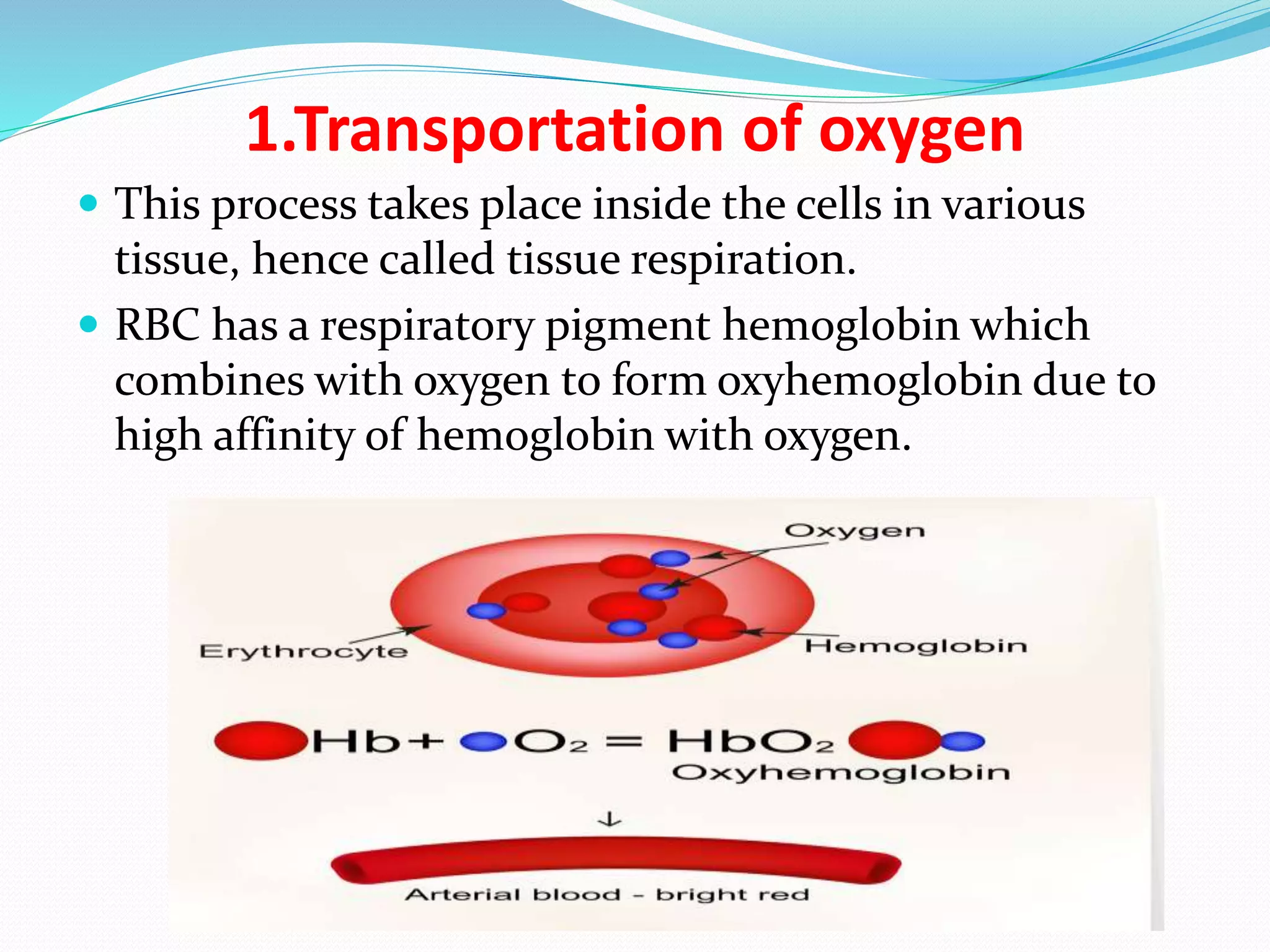 Physiology of respiration | PPTX