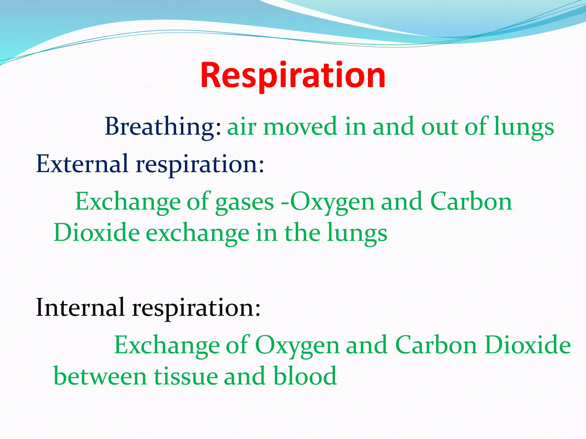 Physiology of respiration | PPTX