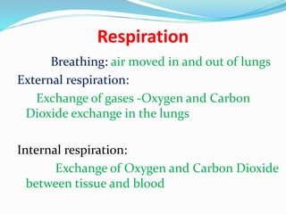 Physiology of respiration | PPTX