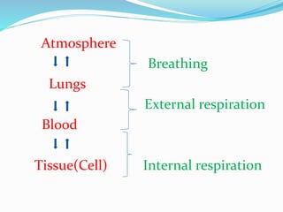 Physiology of respiration | PPTX