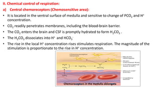 Respiratory system- physiology.pptx.72628 | PPT