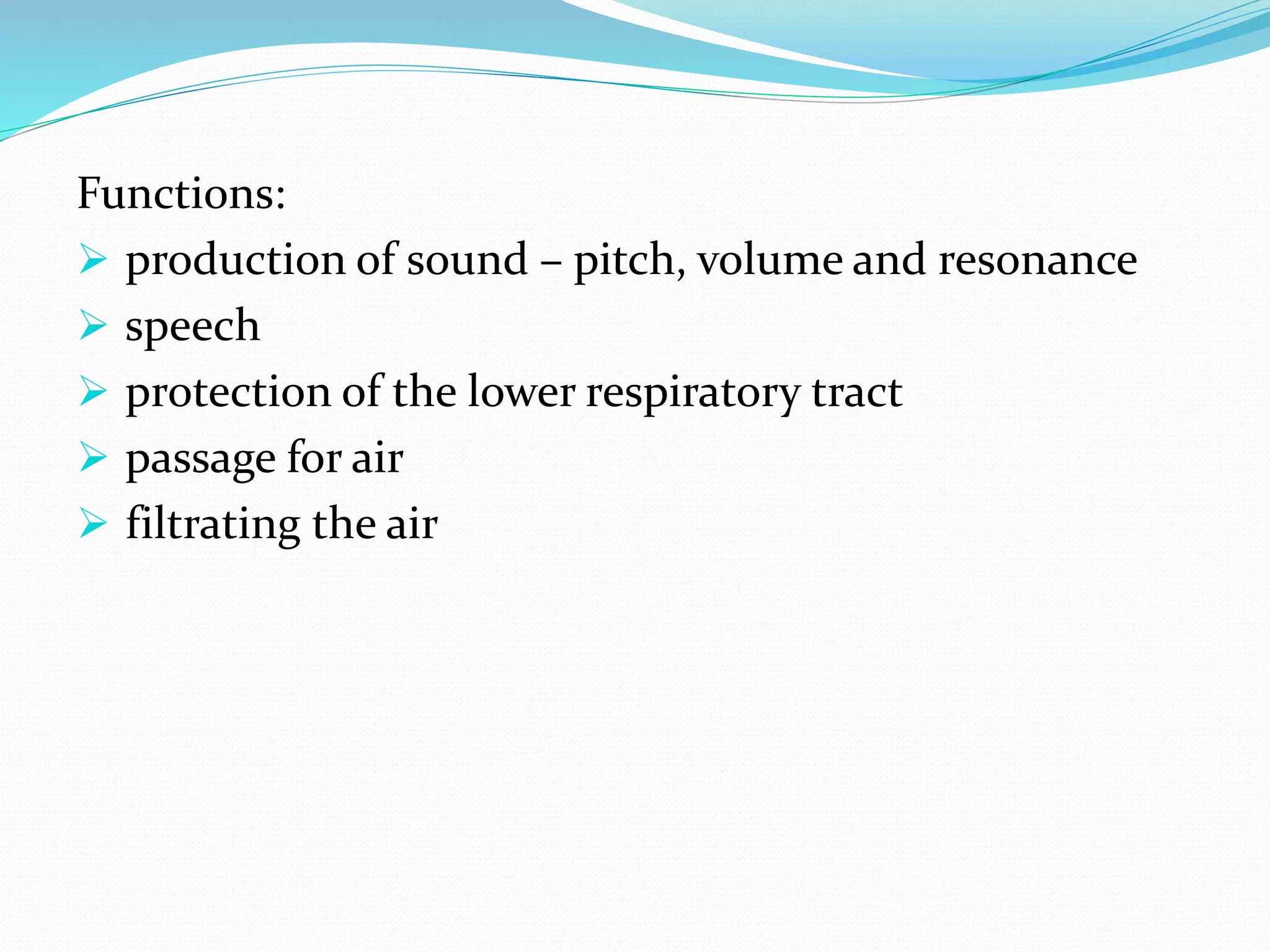 ANATOMY AND PHYSIOLOGY OF RESPIRATORY SYSTEM | PPTX | Ear, Nose and ...