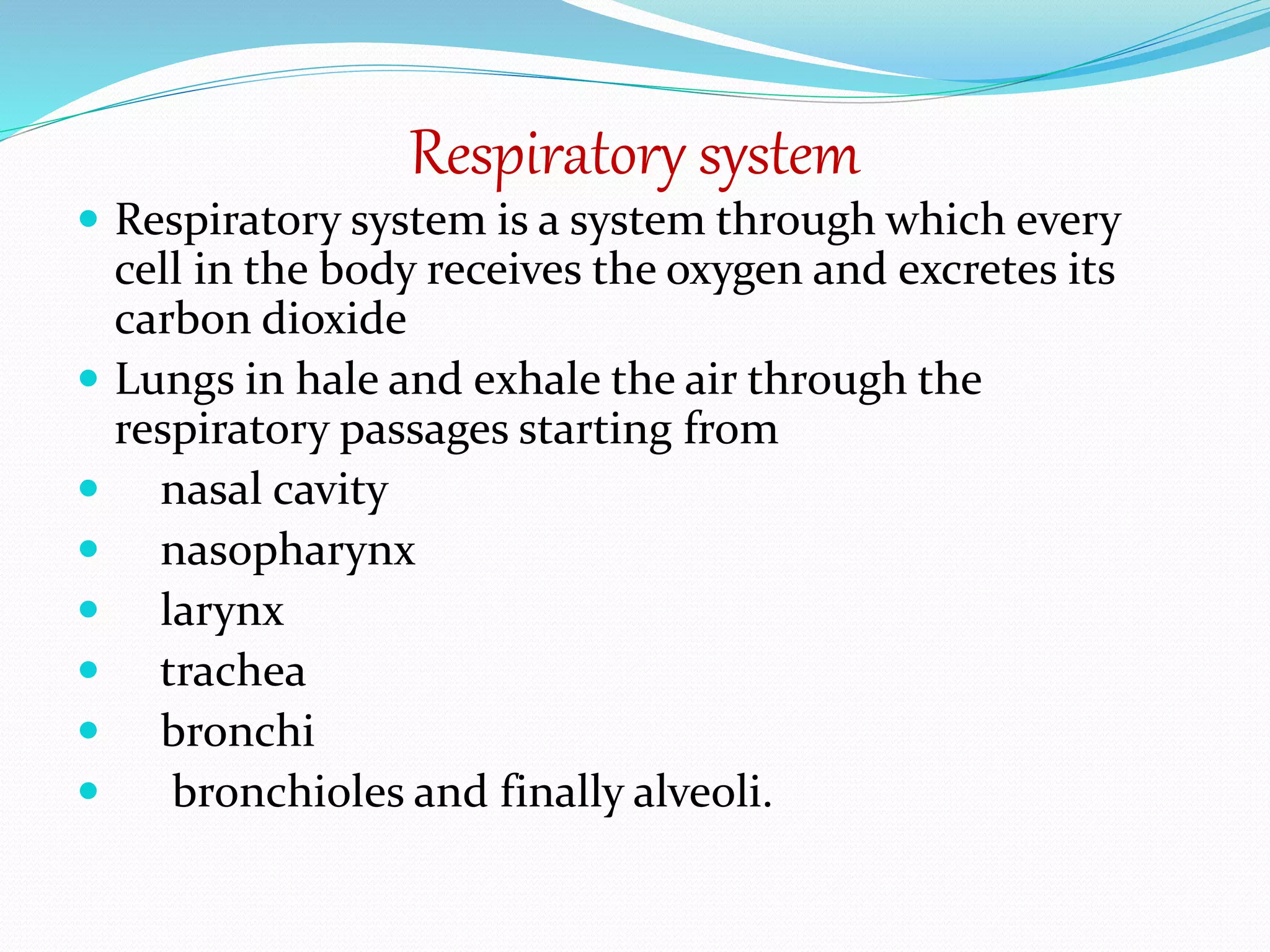 ANATOMY AND PHYSIOLOGY OF RESPIRATORY SYSTEM | PPTX | Ear, Nose and ...