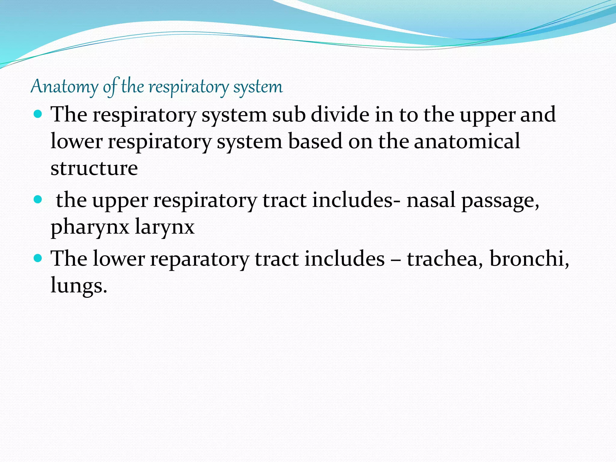 ANATOMY AND PHYSIOLOGY OF RESPIRATORY SYSTEM | PPTX | Ear, Nose and ...