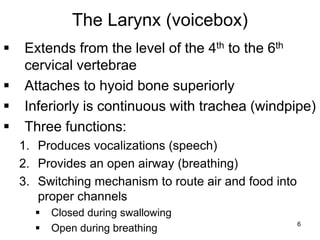 Respiratory System | PPT