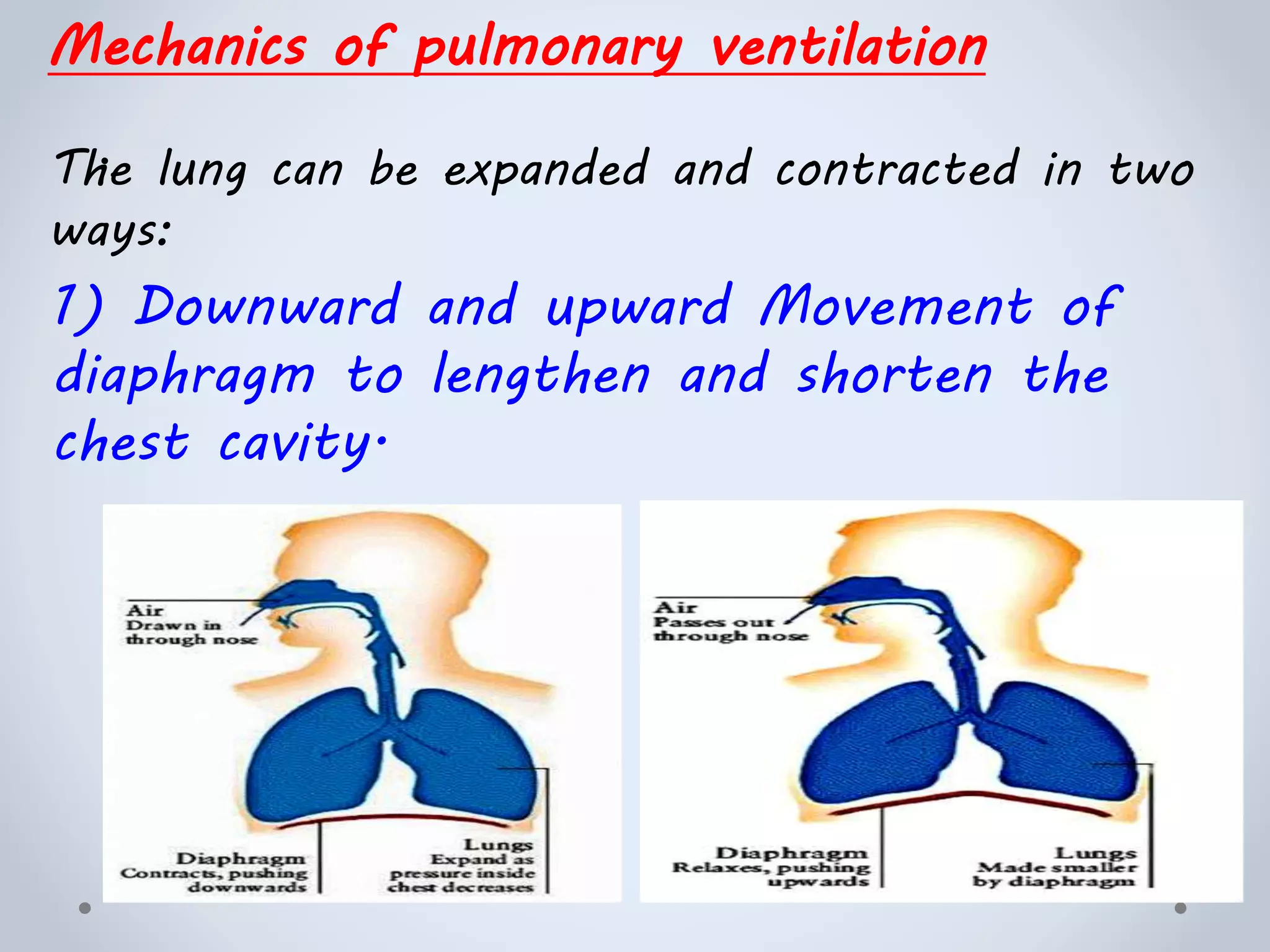 Respiratory system pulmonary ventilation.sofian awamleh.pptx مختصر | PPTX