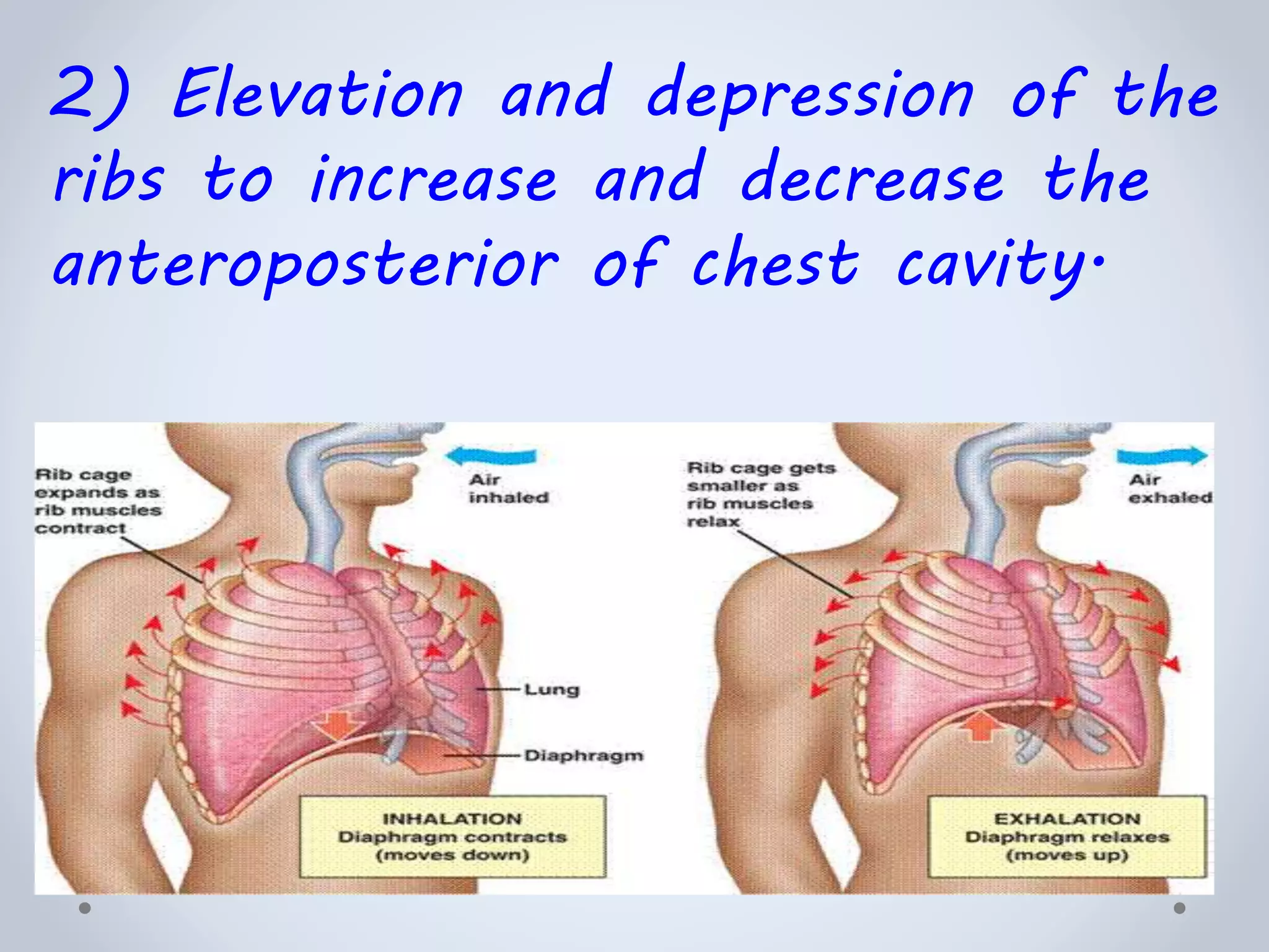Respiratory system pulmonary ventilation.sofian awamleh.pptx مختصر | PPTX
