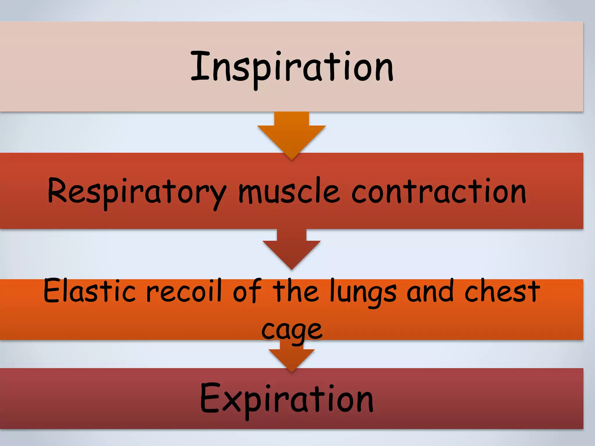 Respiratory system pulmonary ventilation.sofian awamleh.pptx مختصر | PPTX
