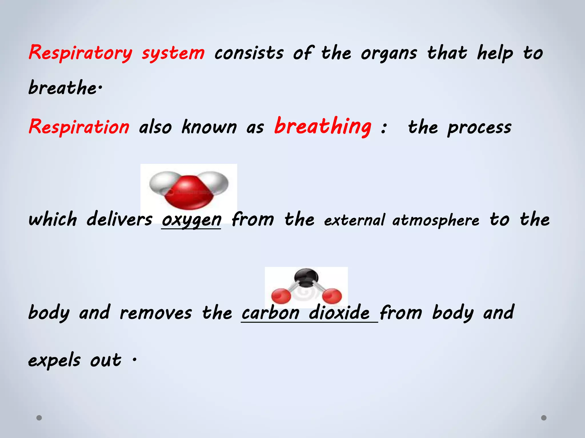 Respiratory system pulmonary ventilation.sofian awamleh.pptx مختصر | PPTX