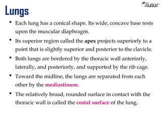RESPIRATORY SYSTEM- REFERENCES.pptx.................. | PPTX