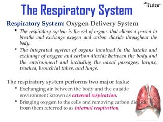 RESPIRATORY SYSTEM- REFERENCES.pptx.................. | PPTX