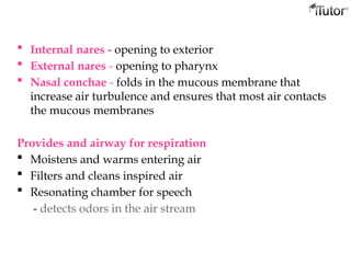 RESPIRATORY SYSTEM- REFERENCES.pptx.................. | PPTX