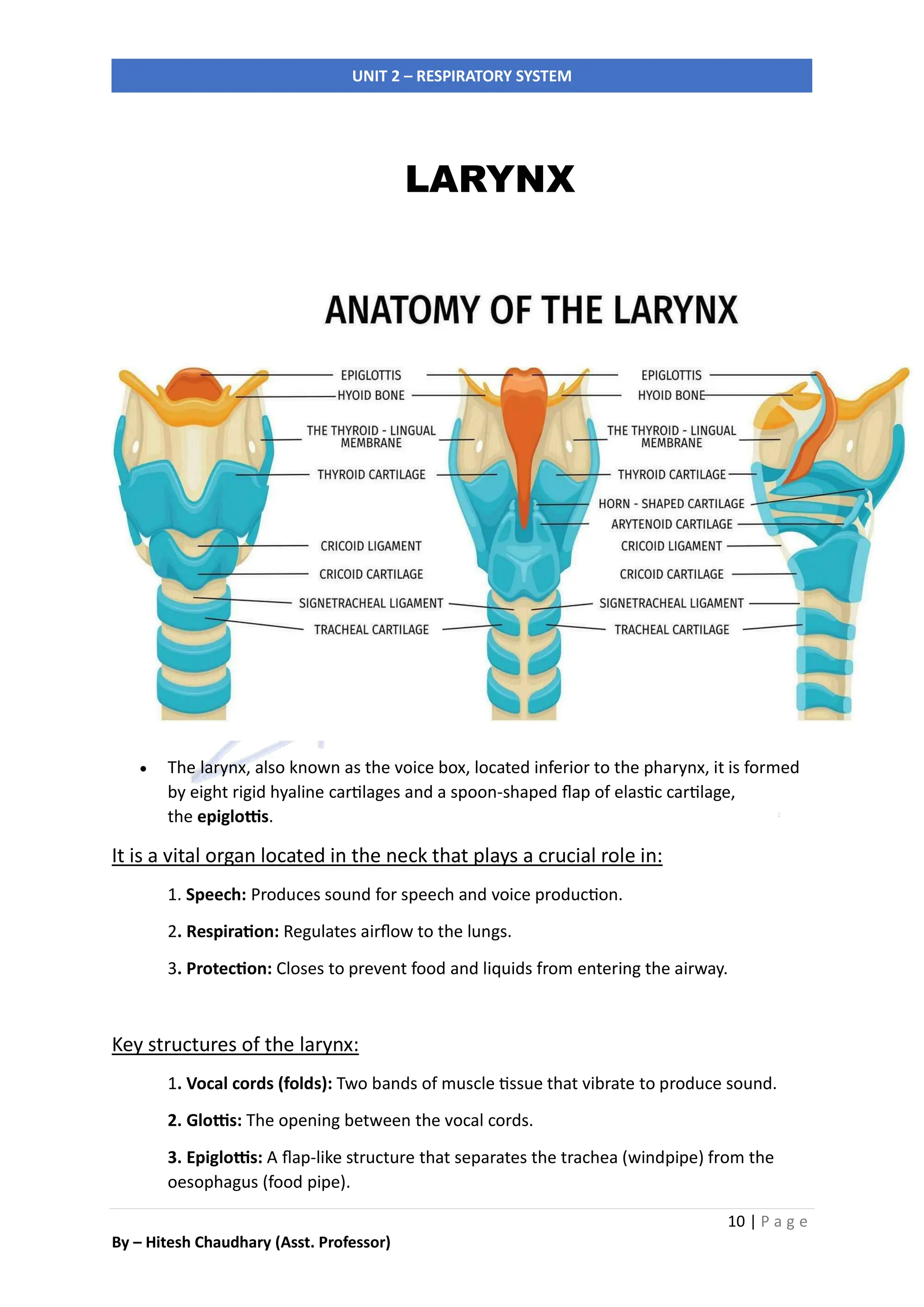 Respiratory System - Unit-2 of Anatomy & Physiology for Nursing ...