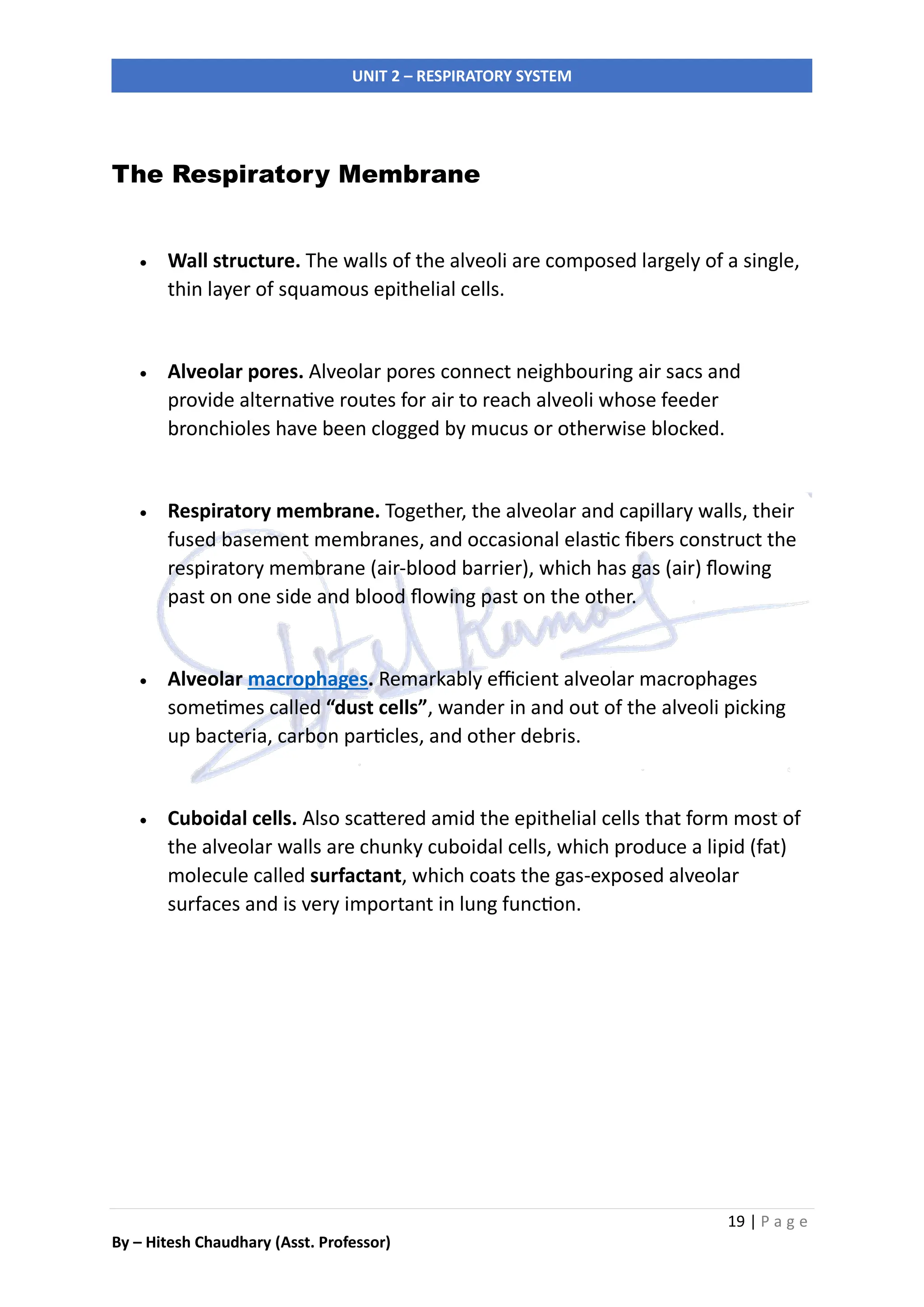 Respiratory System - Unit-2 of Anatomy & Physiology for Nursing ...