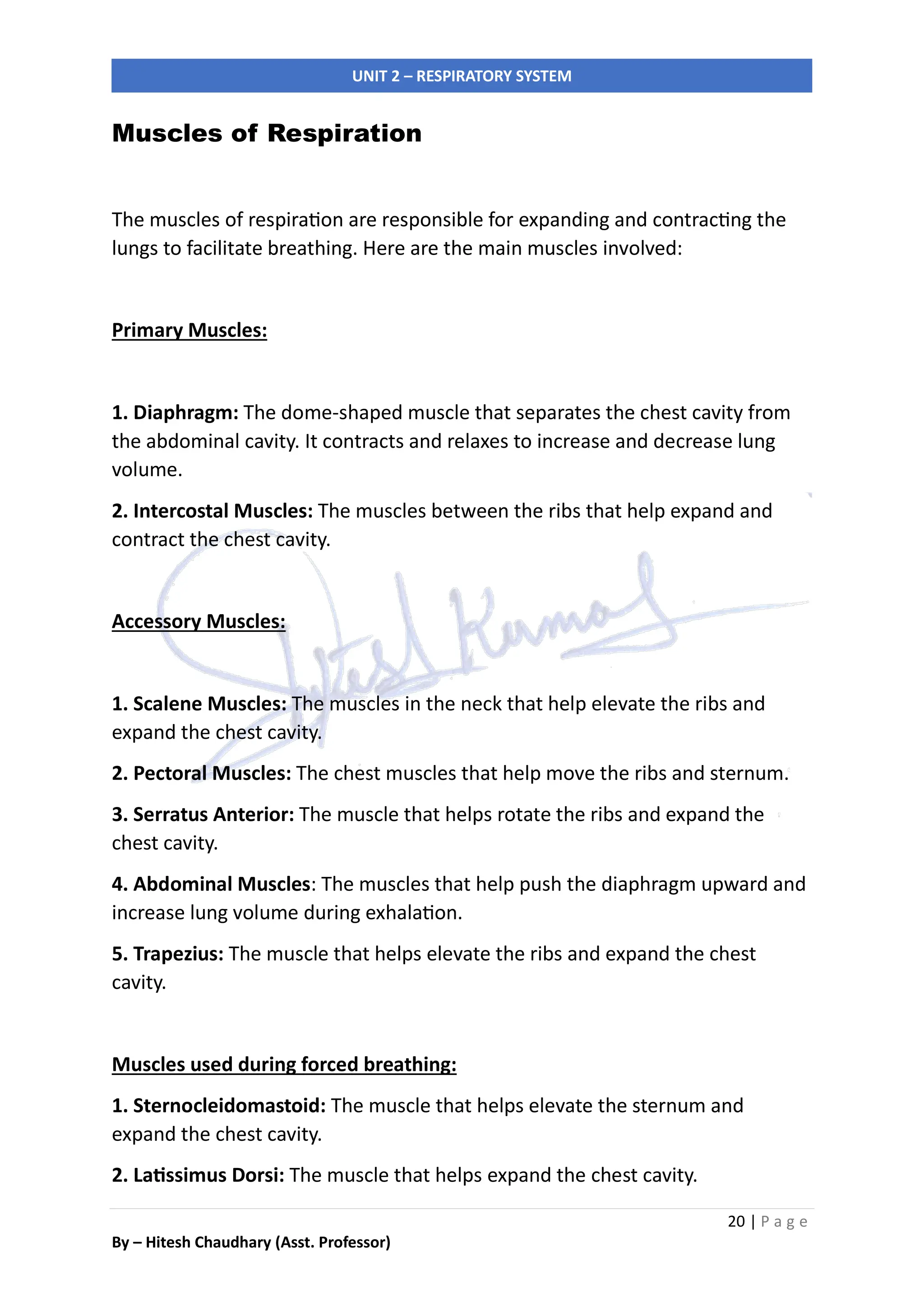 Respiratory System - Unit-2 of Anatomy & Physiology for Nursing ...