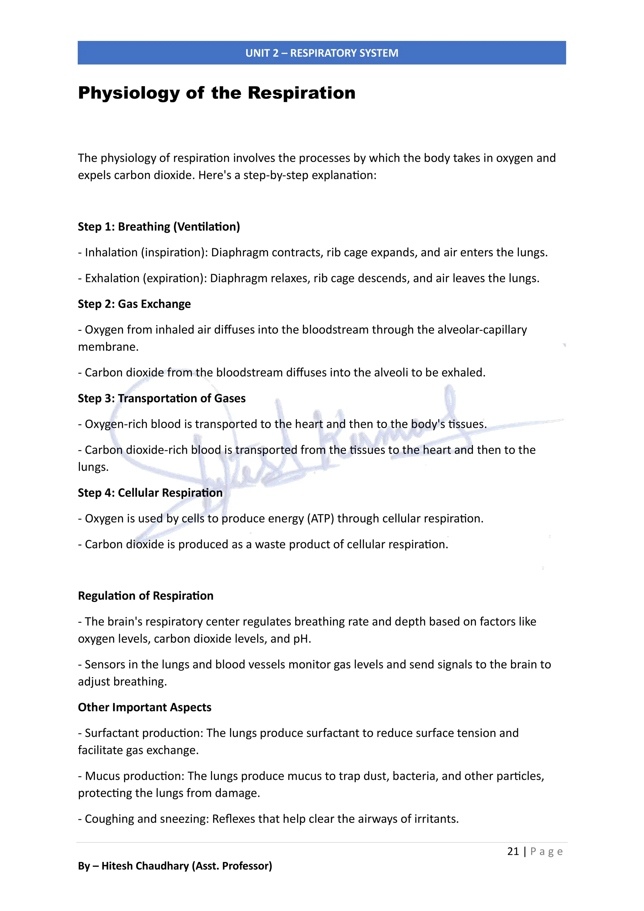 Respiratory System - Unit-2 of Anatomy & Physiology for Nursing ...