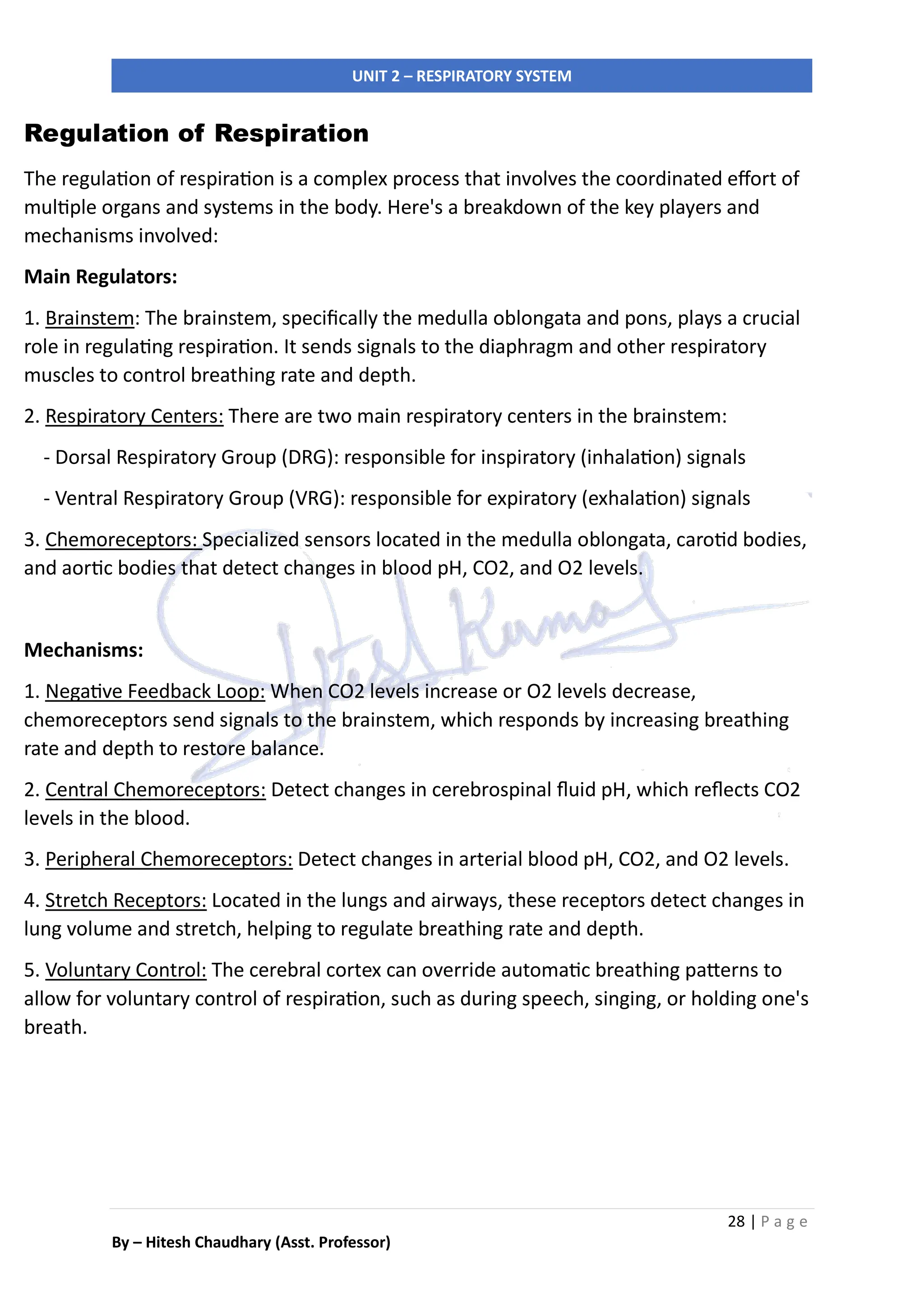 Respiratory System - Unit-2 of Anatomy & Physiology for Nursing ...