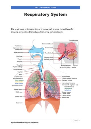 Respiratory System - Unit-2 of Anatomy & Physiology for Nursing ...