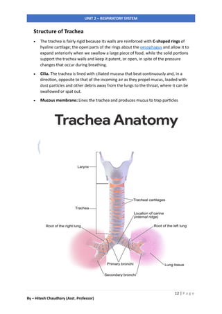 Respiratory System - Unit-2 of Anatomy & Physiology for Nursing ...