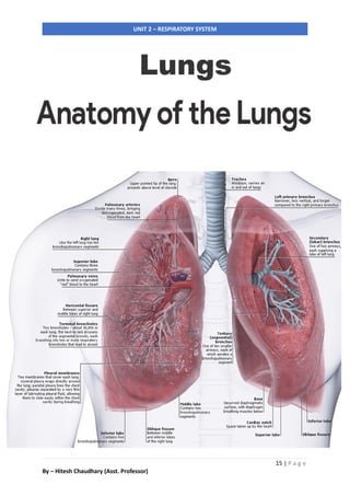 Respiratory System - Unit-2 of Anatomy & Physiology for Nursing ...