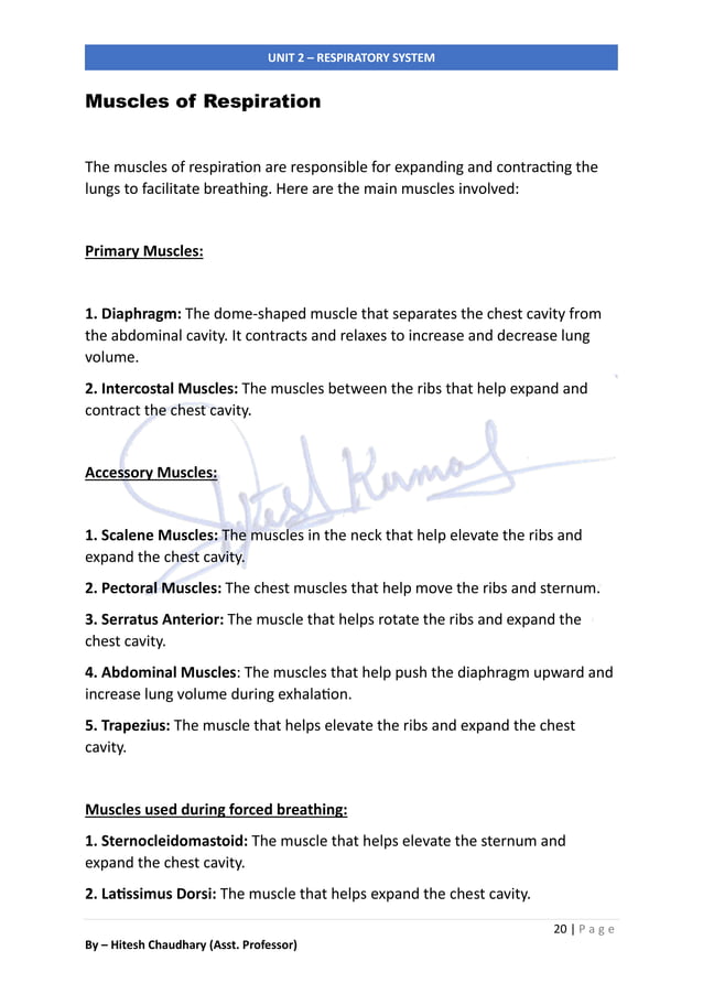 Respiratory System - Unit-2 of Anatomy & Physiology for Nursing ...