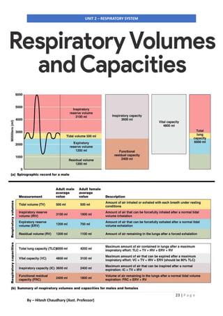 Respiratory System - Unit-2 of Anatomy & Physiology for Nursing ...