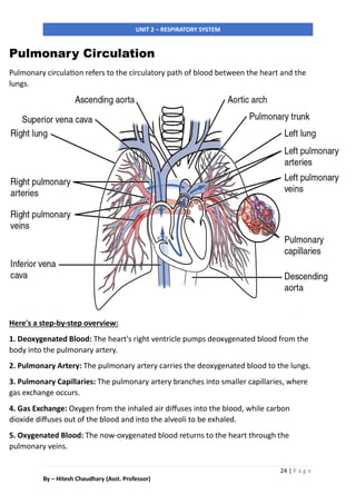 Respiratory System - Unit-2 of Anatomy & Physiology for Nursing ...