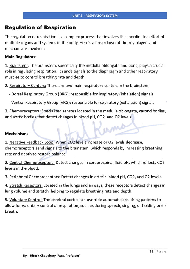 Respiratory System - Unit-2 of Anatomy & Physiology for Nursing ...