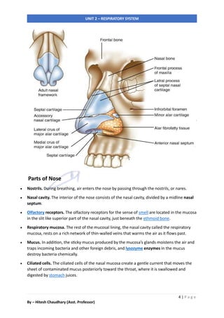 Respiratory System - Unit-2 of Anatomy & Physiology for Nursing ...
