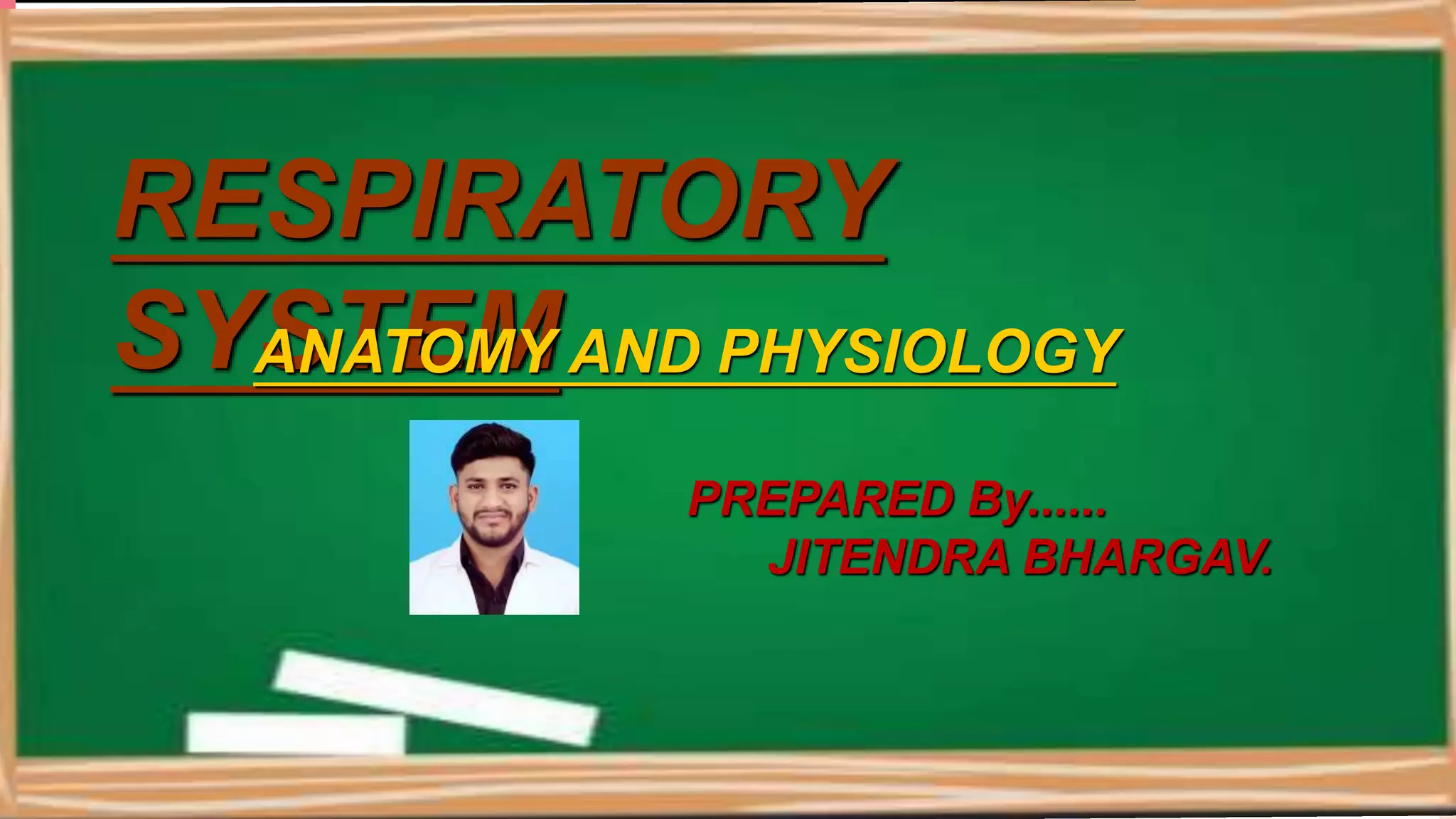 THE RESPIRATORY SYSTEM slideshare | PPT