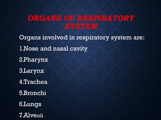Respiratory system of humans_081746.pptx