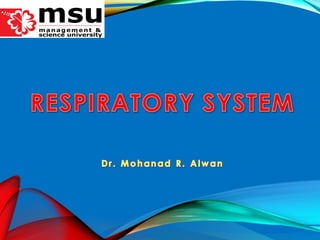 Upper respiratory system- anatomy | PPT