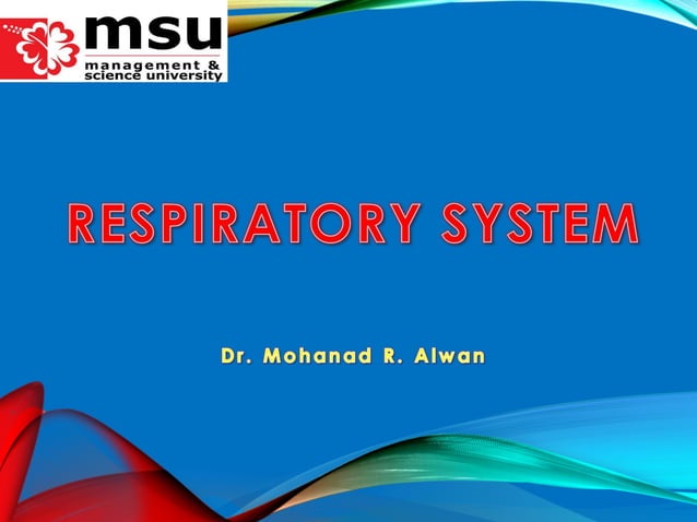 Upper respiratory system- anatomy | PPT