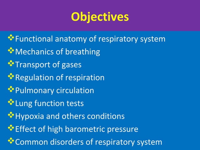 Upper respiratory system- anatomy | PPT