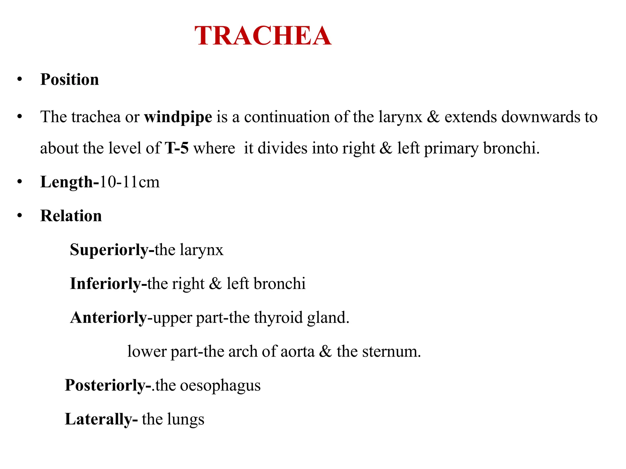 respiratory system (1).pptx along with anatomy and physiology | PPTX