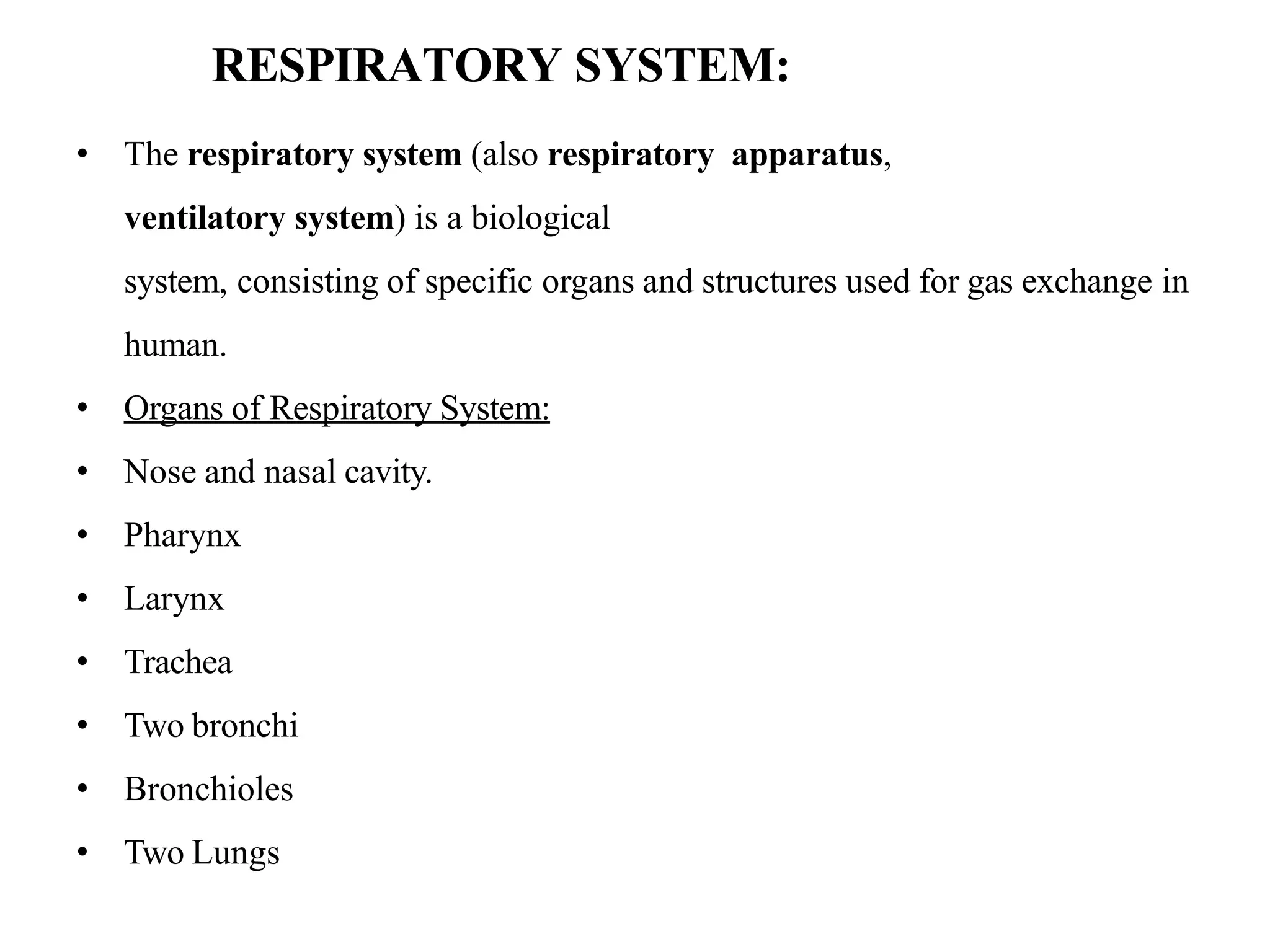respiratory system (1).pptx along with anatomy and physiology | PPTX ...