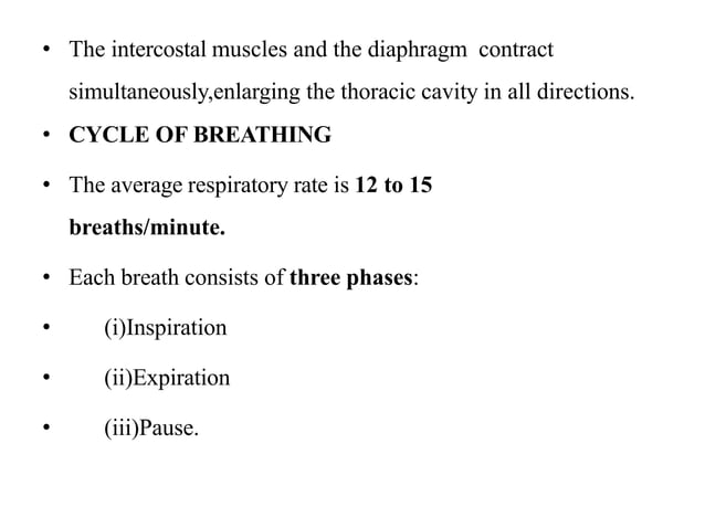 respiratory system (1).pptx along with anatomy and physiology | PPTX ...