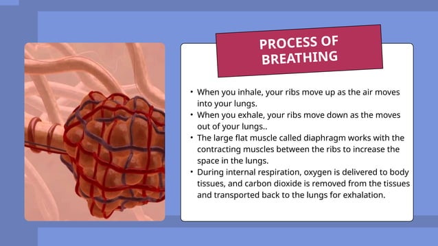 Respiratory System power point presentation | PPTX